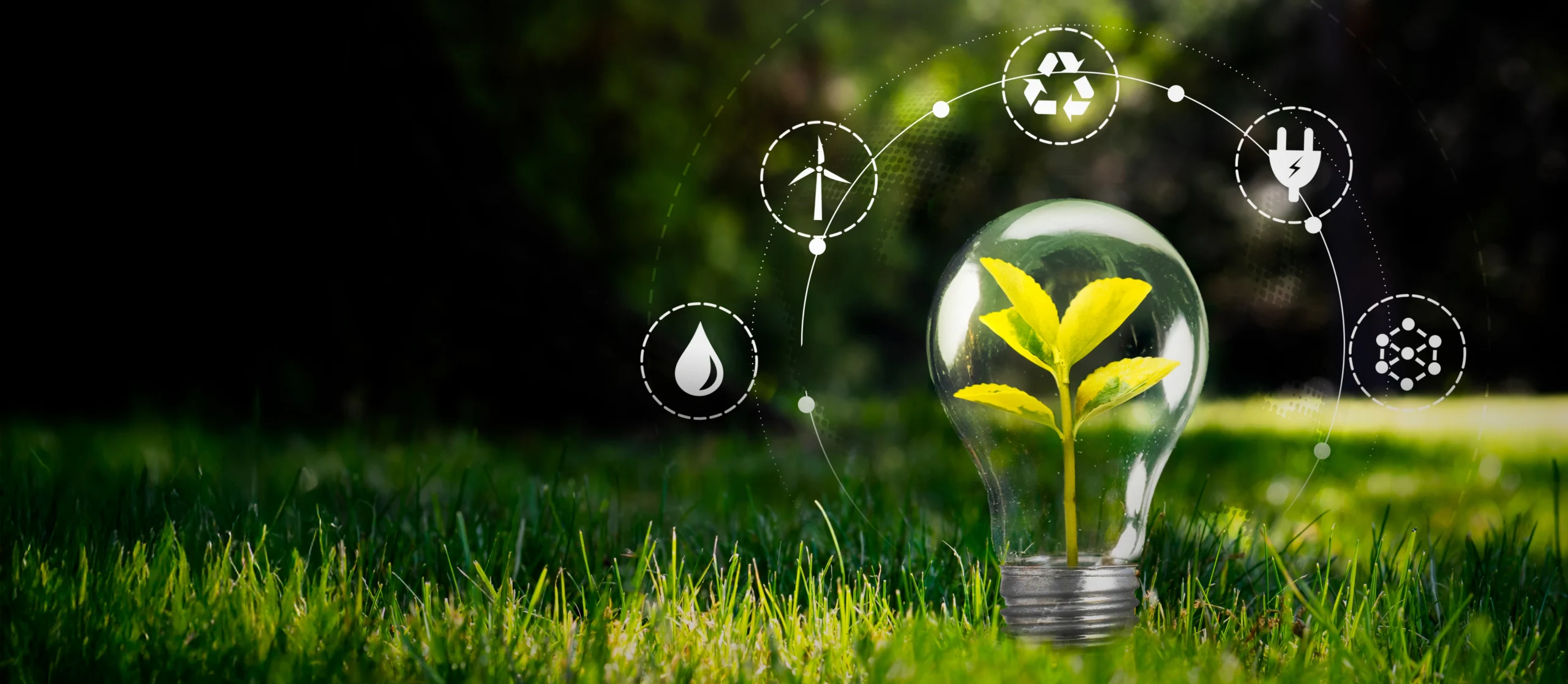 Global Agrochemical Market Trends 2026